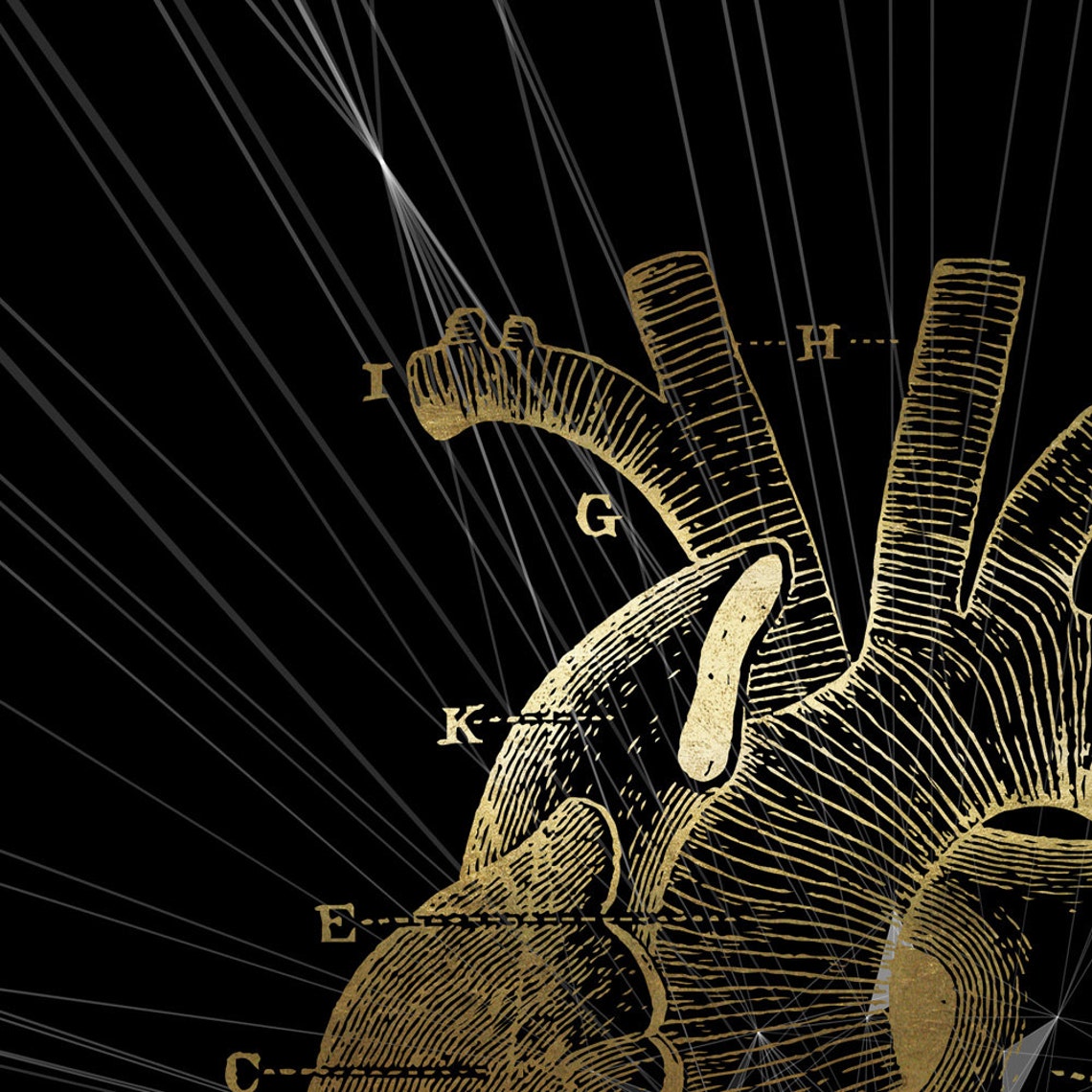 Cardiology Office Art Anatomical Heart Print Vintage Medical - Etsy