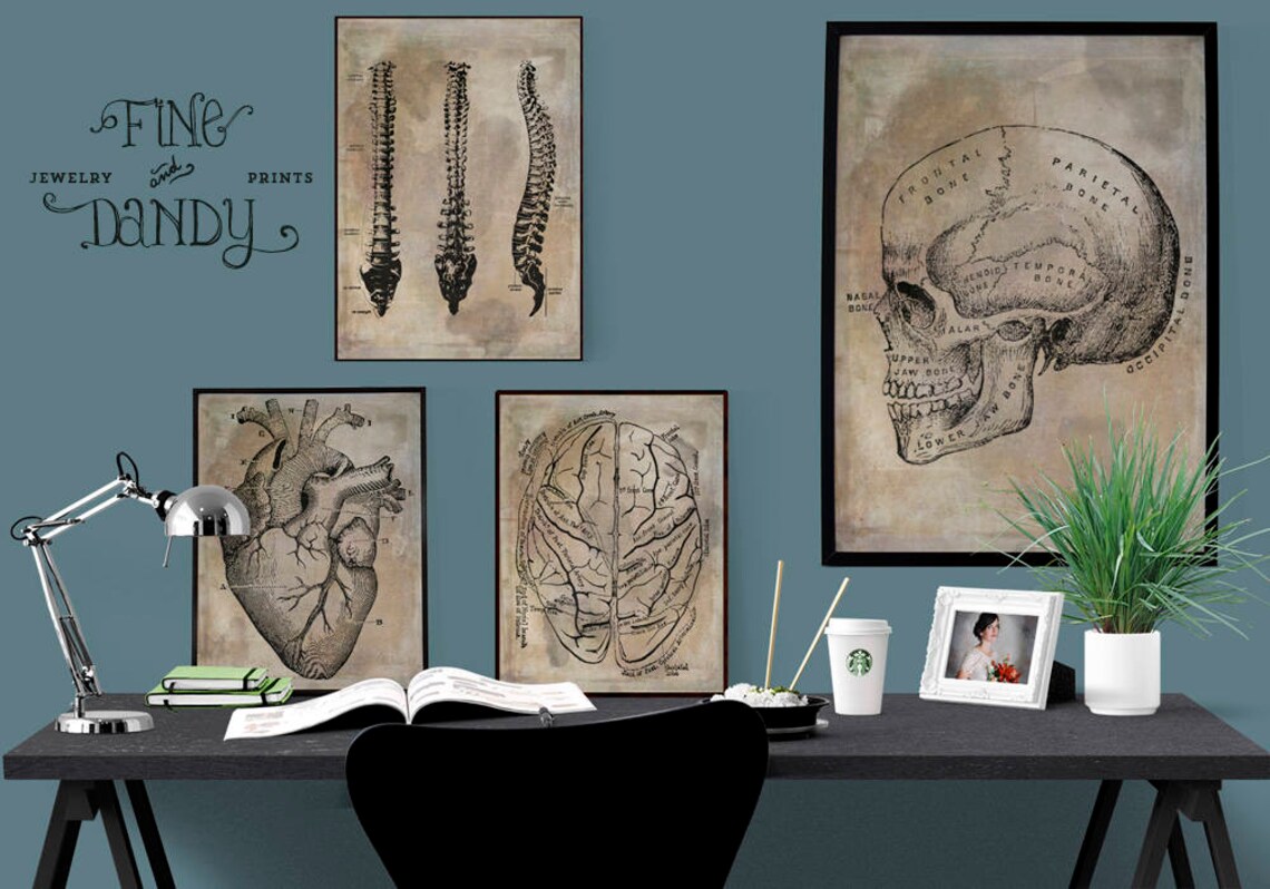 SET of 4: Doctor's Office Art Anatomical Heart Print | Etsy