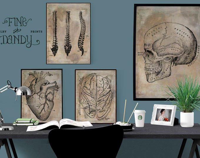 SET: Doctor Office Art, Anatomical Heart Print, Vintage Medical ...