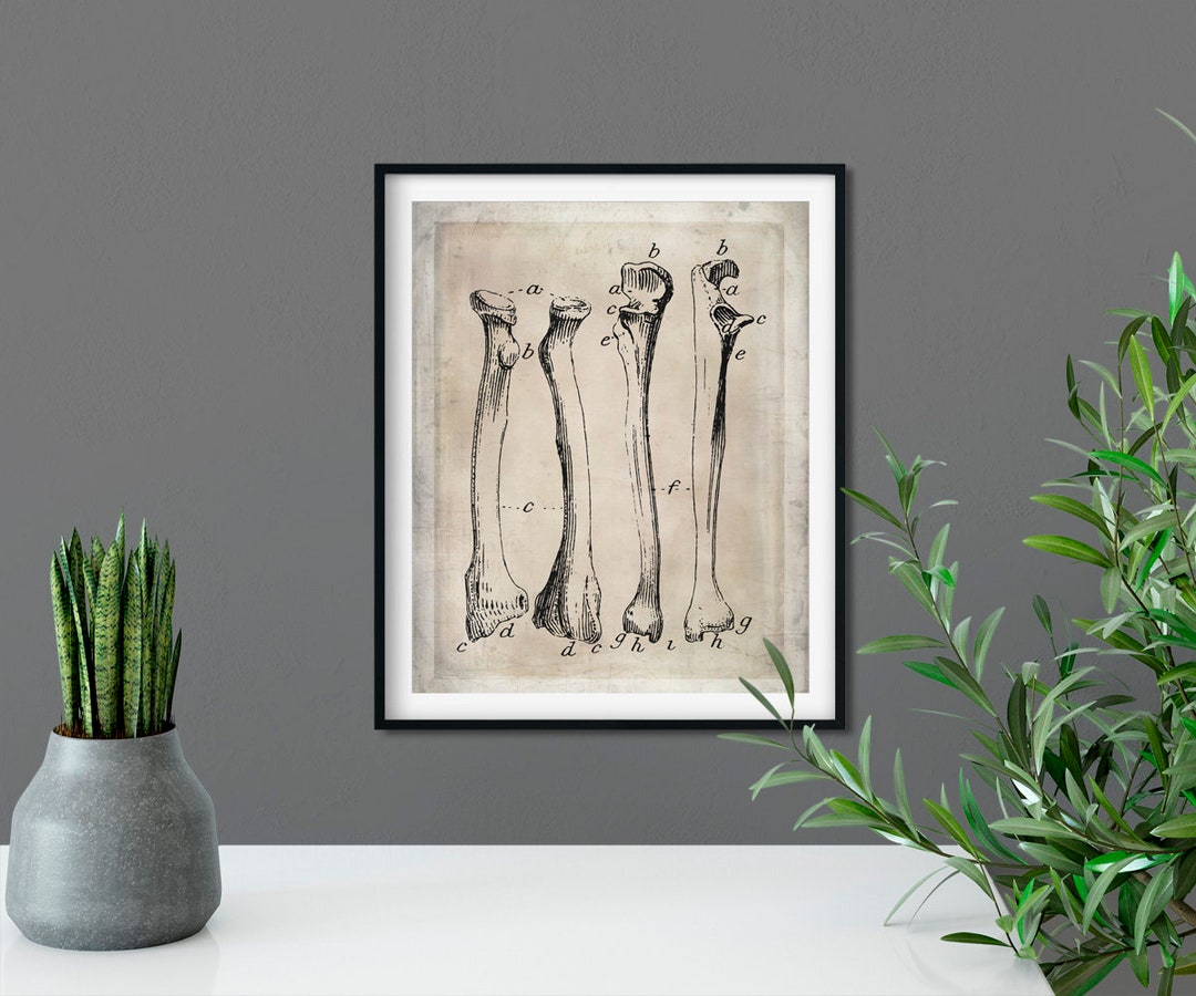 2 Radiology Art Printables Radiology Office Art 8x10 11x14 - Etsy