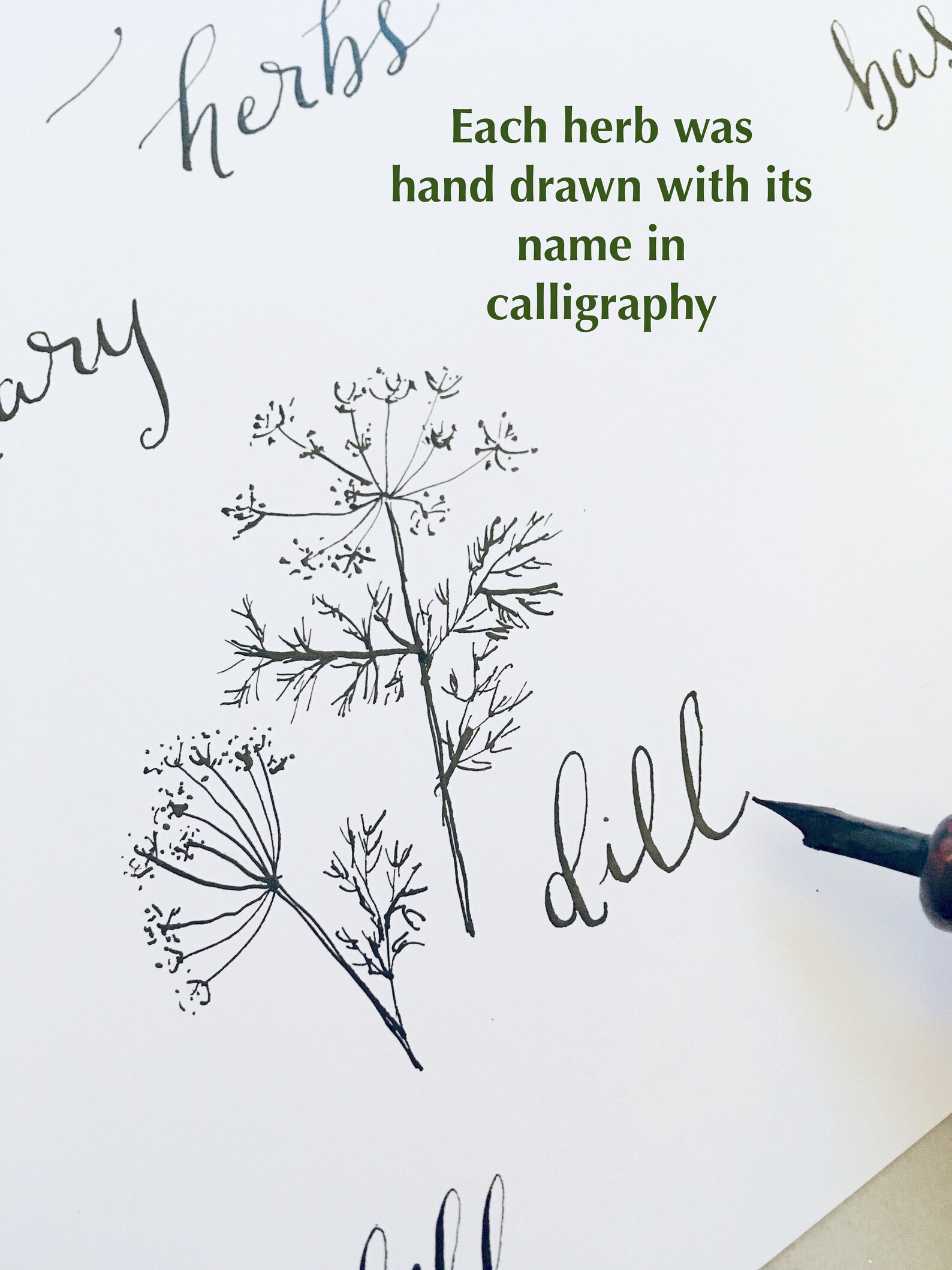 Herb Prints, Black and White Kitchen Decor, Botanical Illustration ...