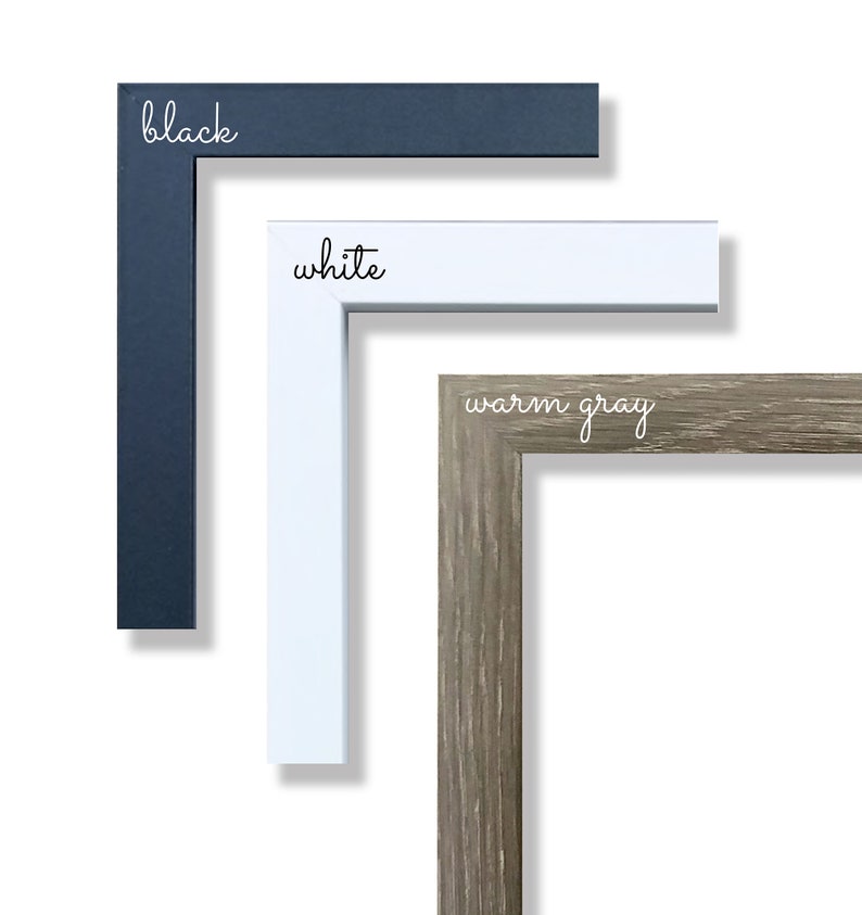 Pet Memorial Shadowbox: Paw Print Keepsake Shadow Box Frame With Dots ...