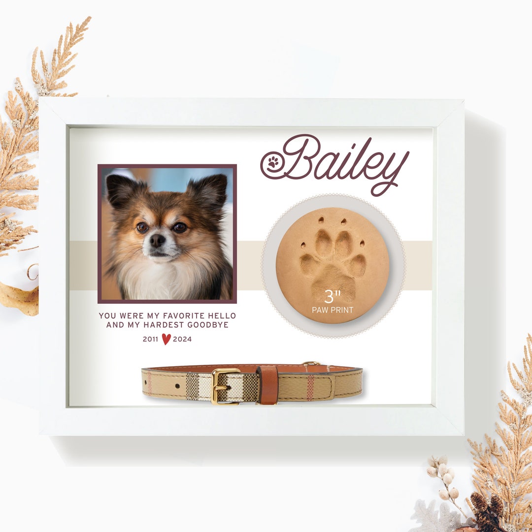Pet Memorial Collar and Paw Print Holder Shadow Box Pet Loss Frame Clay ...