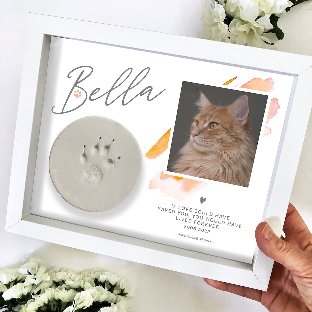 Pet Memorial Shadow Box: Paw Print Holder, Custom Keepsake With ...