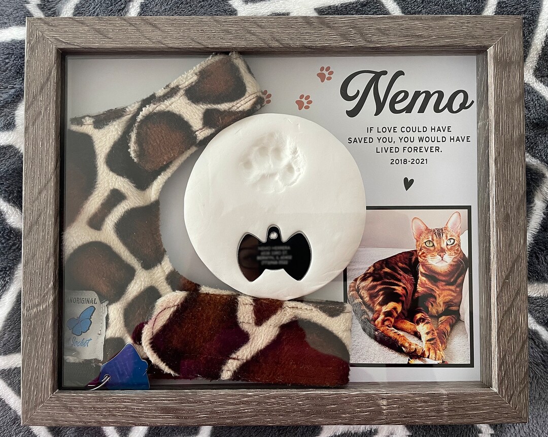 Pet Memorial Paw Print Harness Holder Shadow Box, Pet Loss Frame, Clay ...