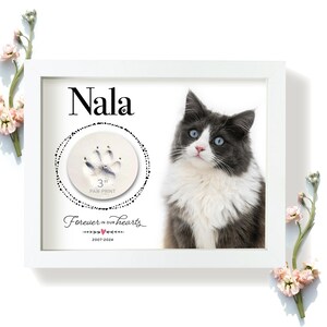 Pet Memorial Shadowbox: Paw Print Keepsake Shadow Box Frame With Dots ...