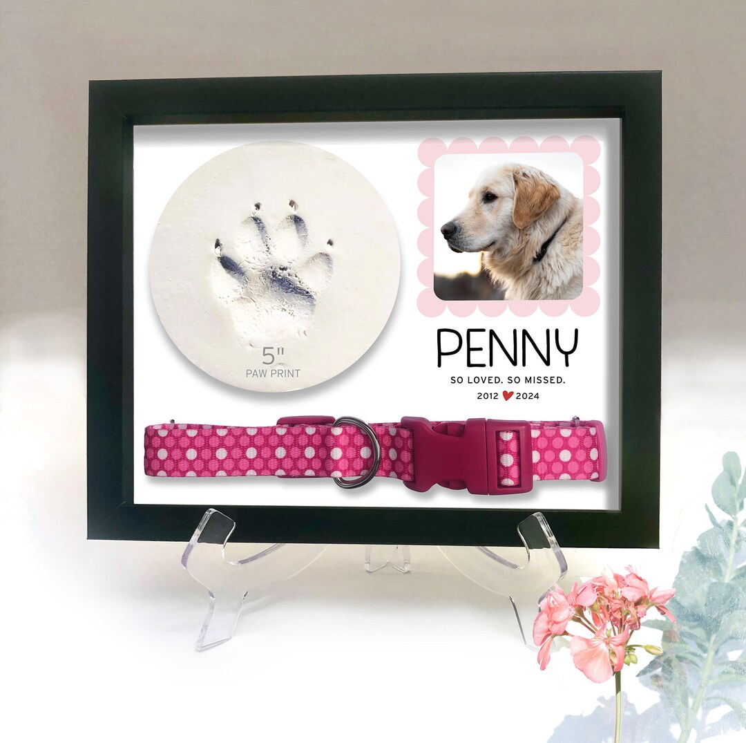 Pet Memorial Gift With Collar and Clay Paw Print Shadow Box, Clay Paw ...