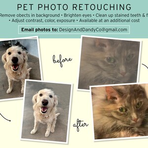 Pet Memorial Shadowbox: Paw Print Keepsake Shadow Box Frame With Dots ...