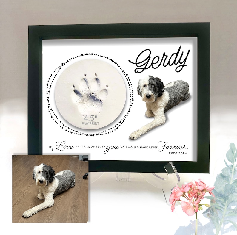 Pet Memorial Shadowbox: Paw Print Keepsake Shadow Box Frame With Dots ...