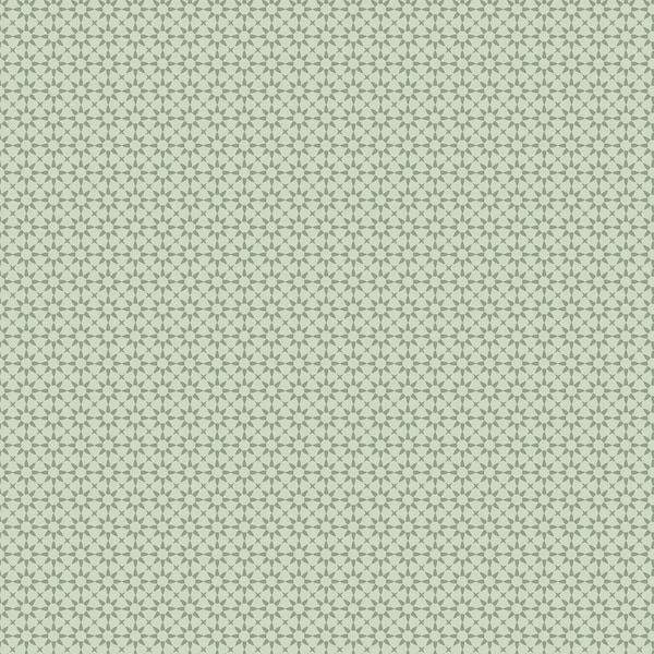 Riley Blake Gingham Fields Fabric - Etsy