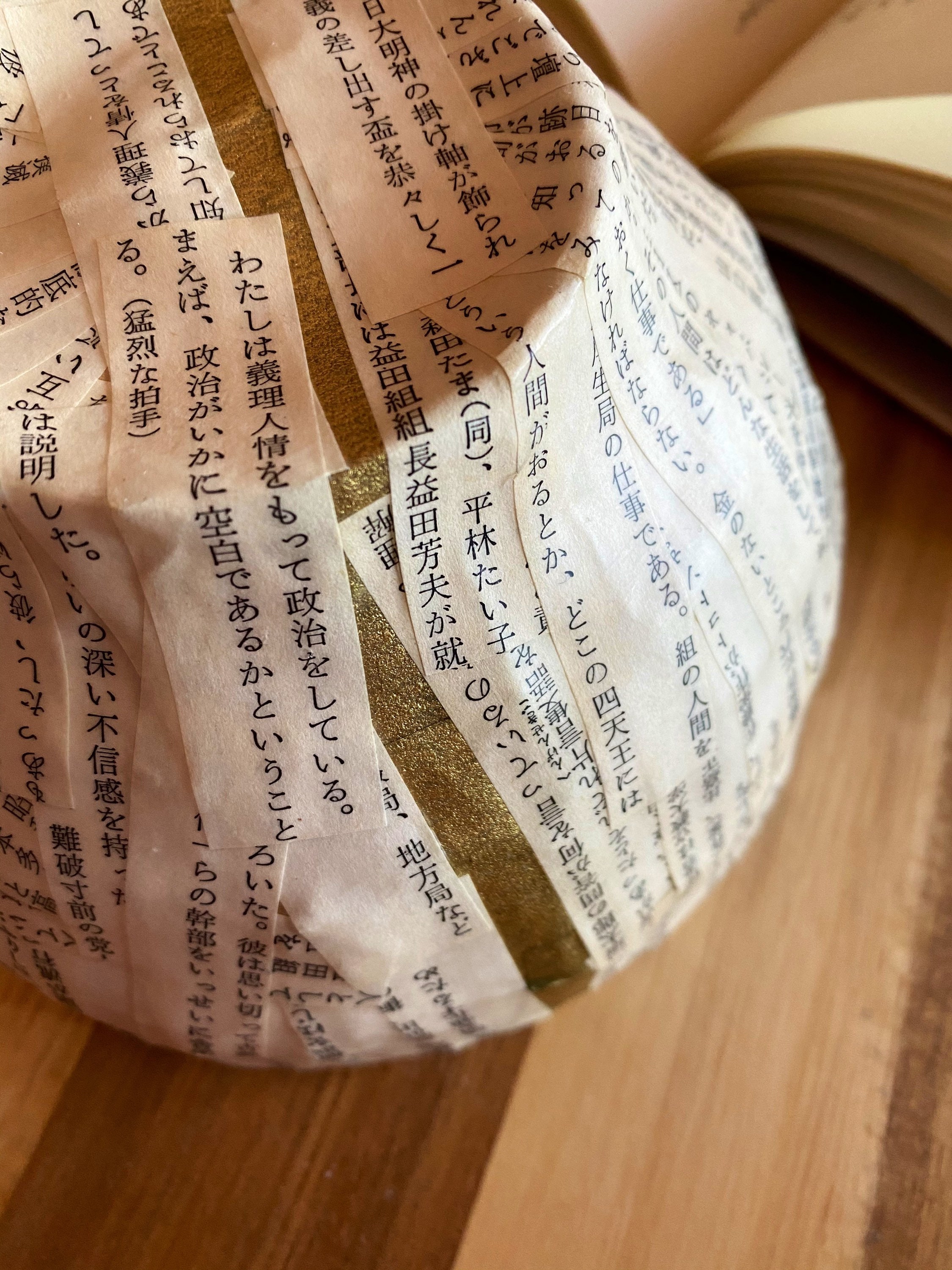 Plaster Of Paris For Paper Mache at Jenny Nichole blog