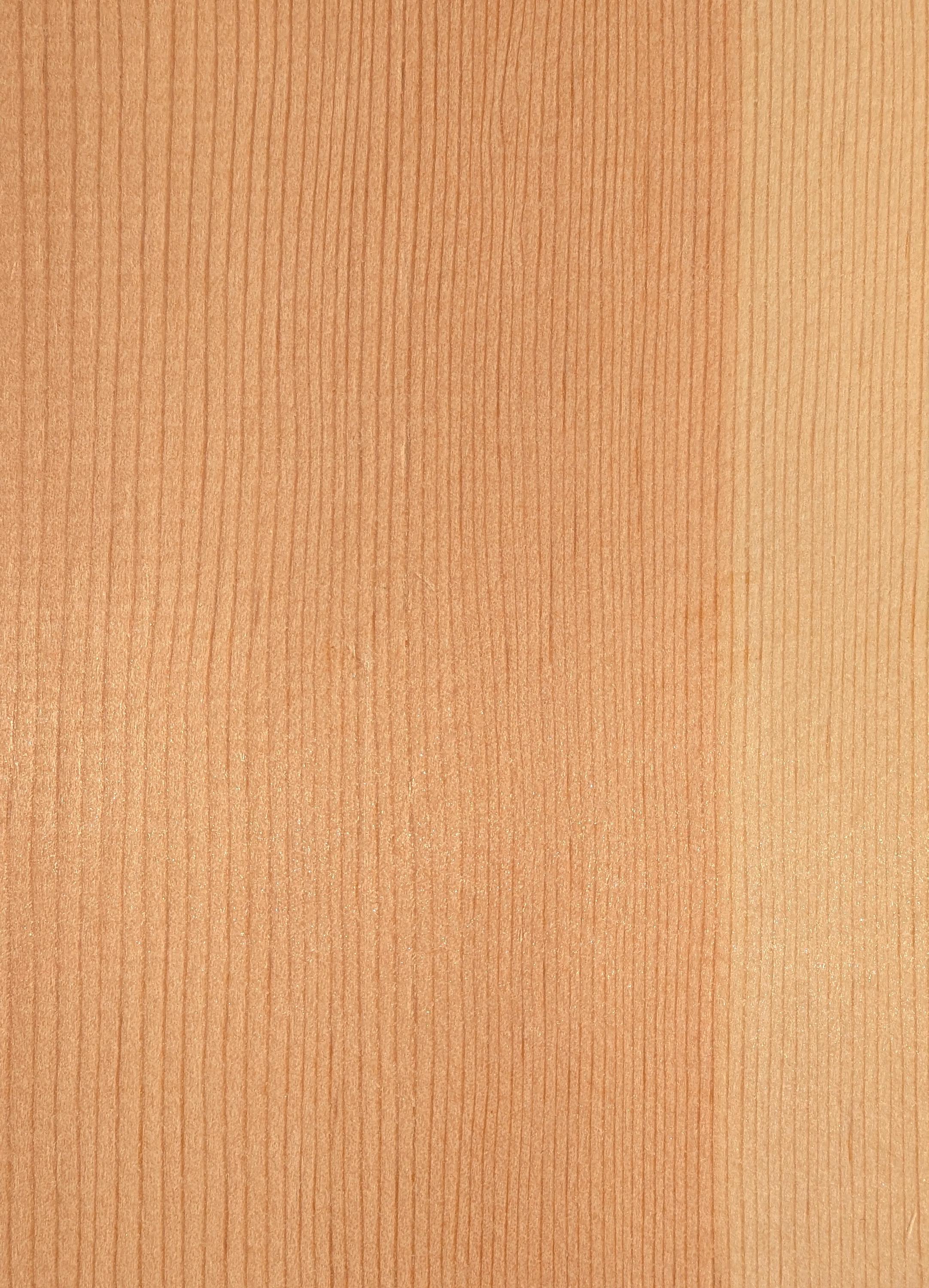 Paws Screen Door - Etsy