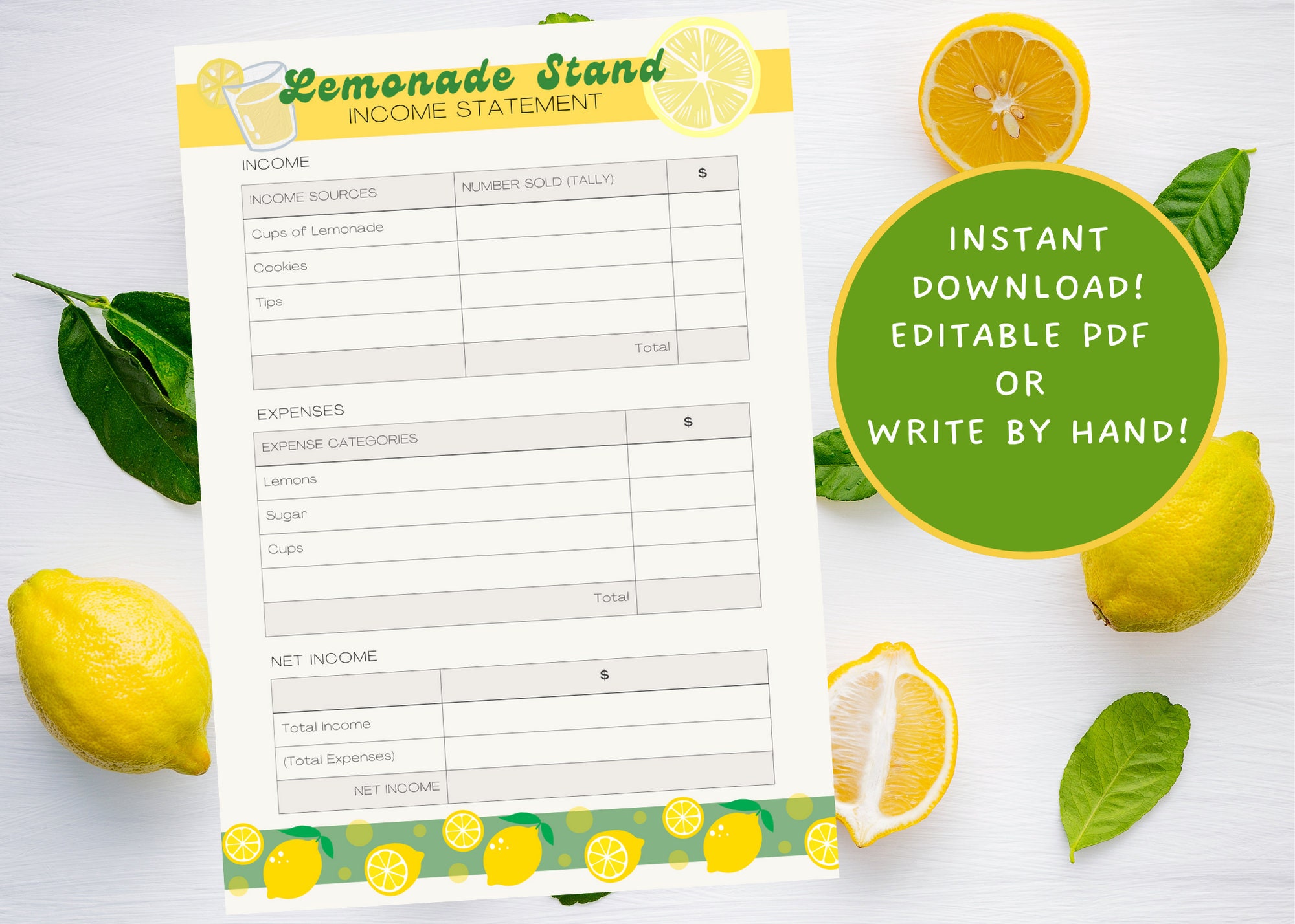 Lemonade Stand Income Statement: Kid's Accounting Tracker (digital ...