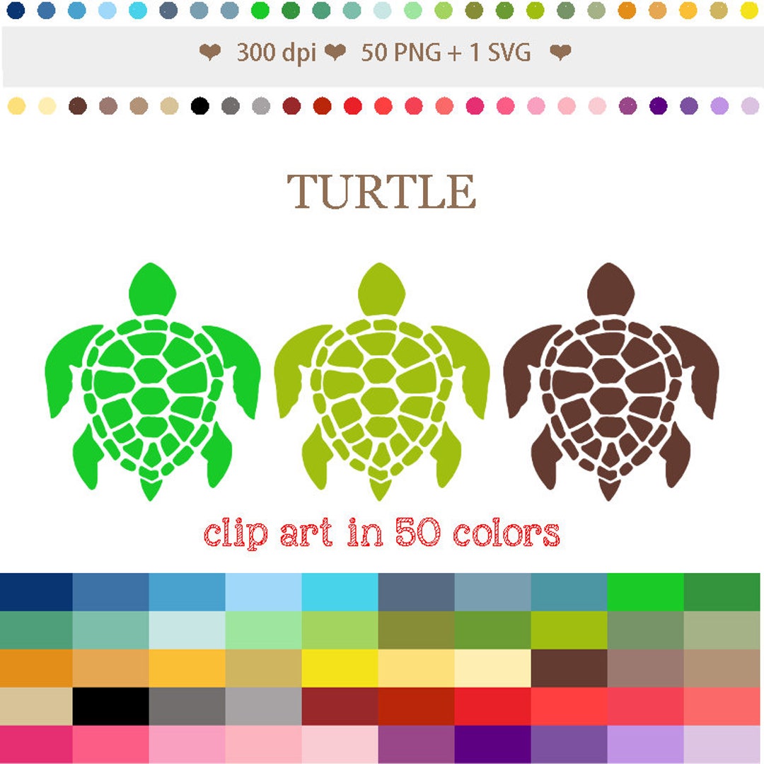 50 Colors Digital TURTLE Clipart Hawaiian Turtle Clip Art Rainbow ...