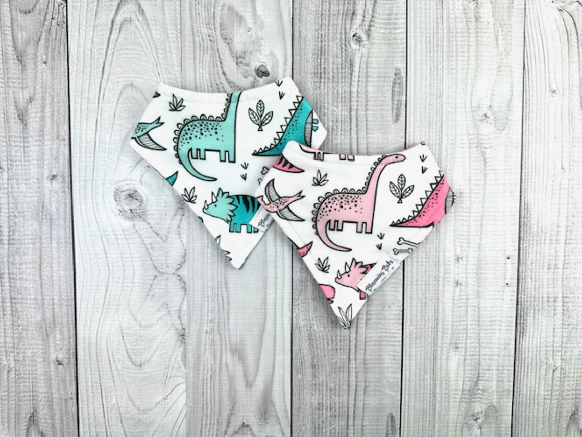 Pink and Mint Dinosaur Print Jersey Baby Drool Bibdanas and Matching ...