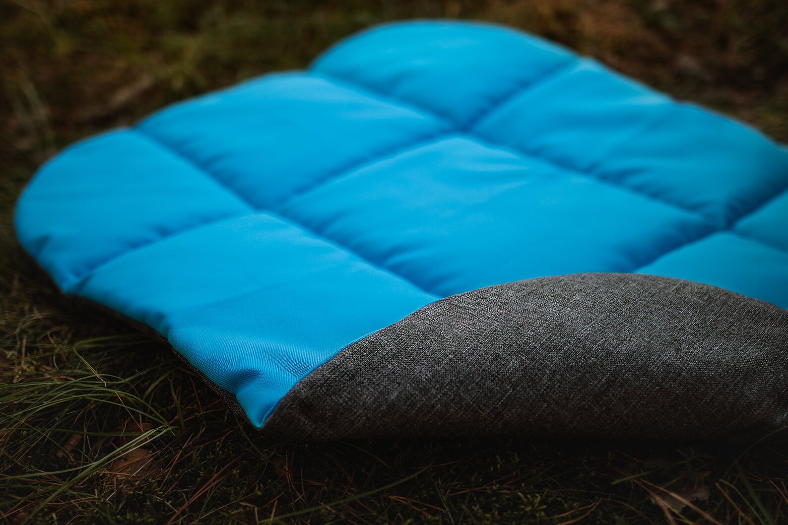 Travel Mat for a Dog Outdoor Dog Mat Roll up Dog Mat | Etsy