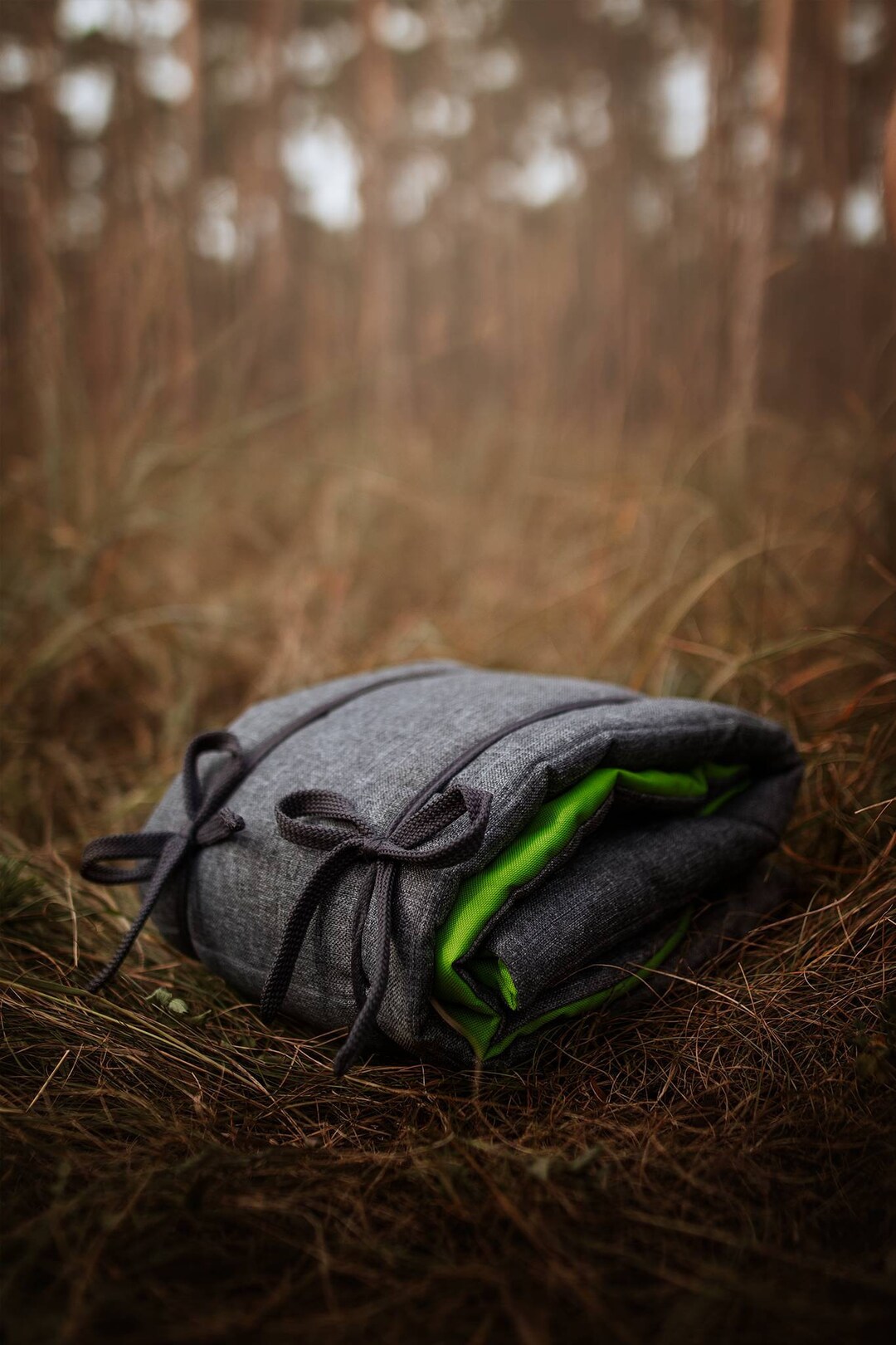 Travel Mat for a Dog, Outdoor Dog Mat, Roll up Dog Mat, Personalized ...