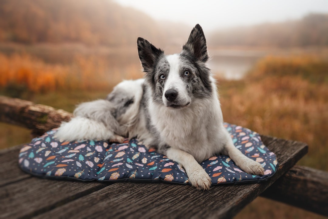 Universal Dog Mat, Dog Crate Mat, Outdoor Dog Mat, Personalized Dog Pad ...
