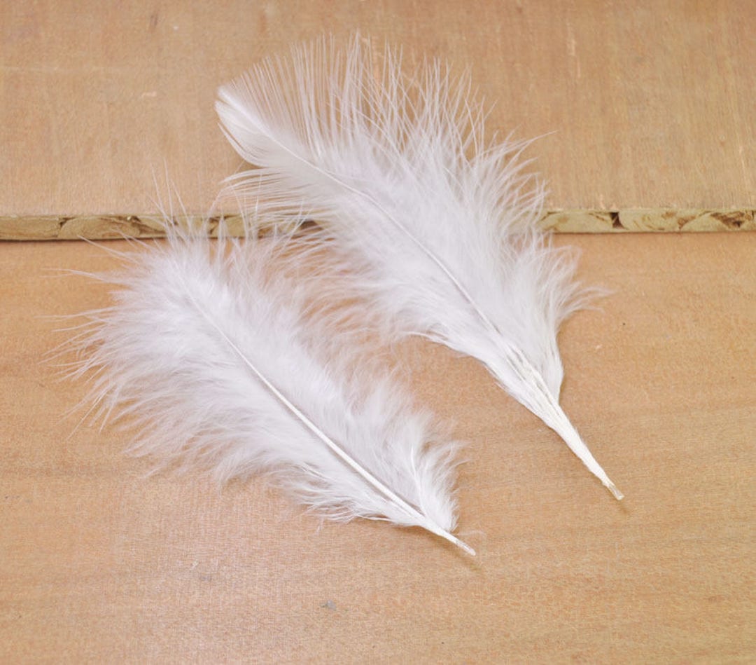 50pcs Feathers,turkey Feathers,white Feathers,fluffy Feathers,bulk ...