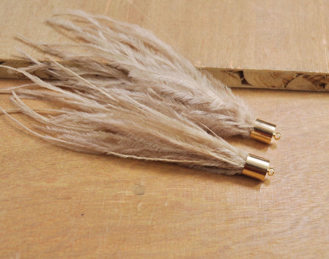2pcs Brown Ostrich Feather Tassel Pendant,gold Metal Cap Feather ...