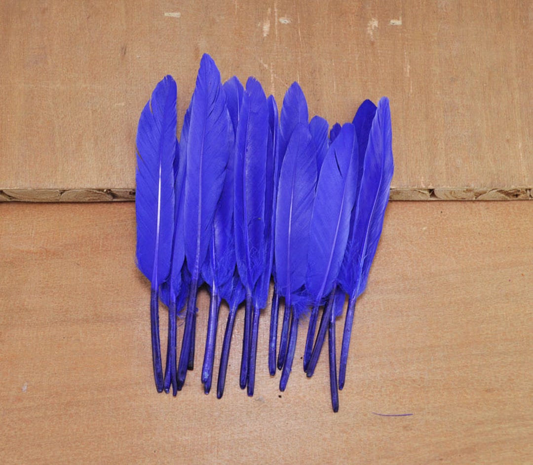 50pcs Duck Feathers,blue Feathers,craft Feathers,loose Feathers ...
