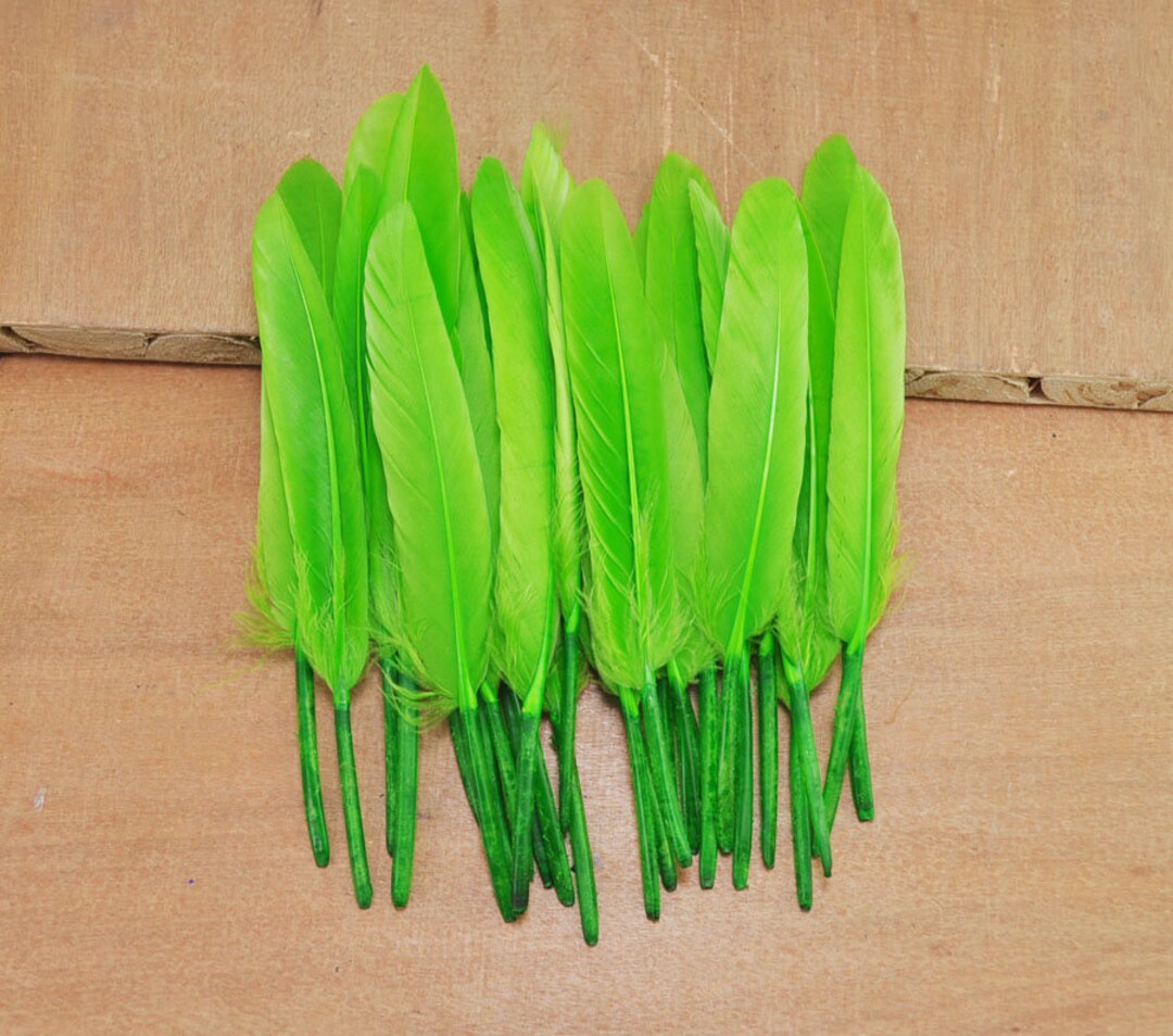 50pcs Duck Feathers,green Feathers,craft Feathers,loose Feathers ...