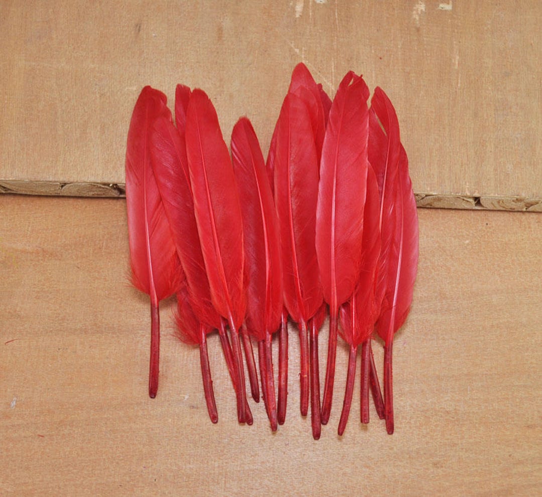 50pcs Duck Feathers,red Feathers,craft Feathers,loose Feathers,feathers ...