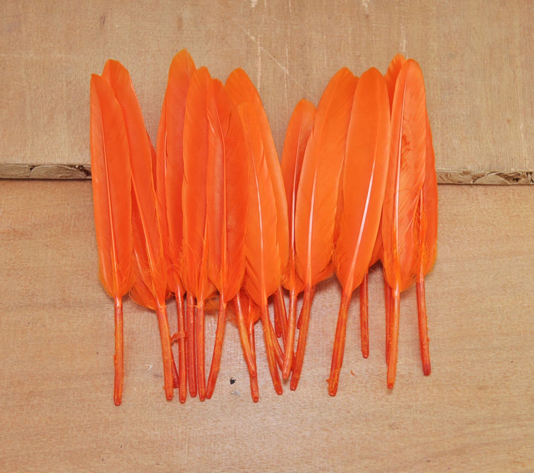 100pcs Duck Feathers,orange Feathers,craft Feathers,loose Feathers ...