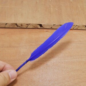 50pcs Duck Feathers,blue Feathers,craft Feathers,loose Feathers ...