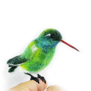 Broad-billed Hummingbird - Realistic Felting Bird. Lifelike Felting ...