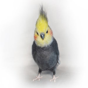 The Felt Bird - Cockatiel. Handmade Felted Bird. the Most Widely Kept ...