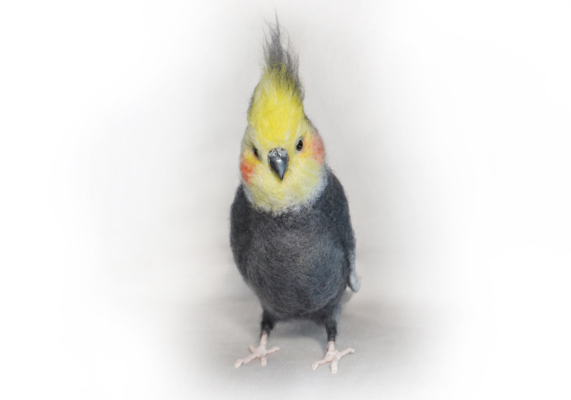 The Felt Bird - Cockatiel. Handmade Felted Bird. the Most Widely Kept ...