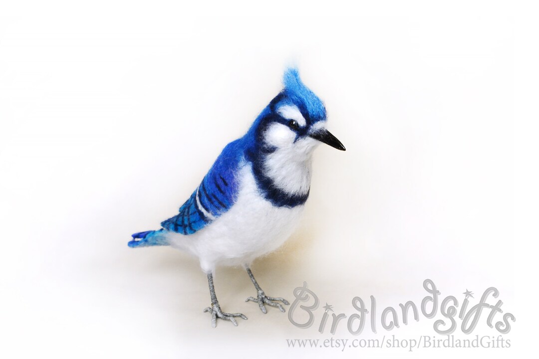 Blue Jay, Needle Felting Bird, Faux Taxidermy, Wool Felt Miniatures ...