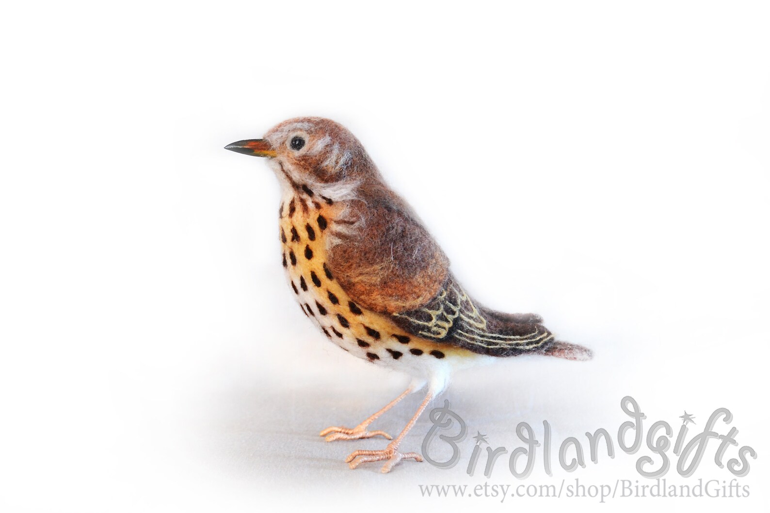 The Song Thrush Realistic Felting Bird. Lifelike Felting Animal ...