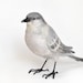 Northern Mockingbird - Felting Realistic Toy - the State Bird of ...