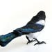 Eurasian Magpie - 1/2 Scale Felted Naturalistic Doll - Etsy