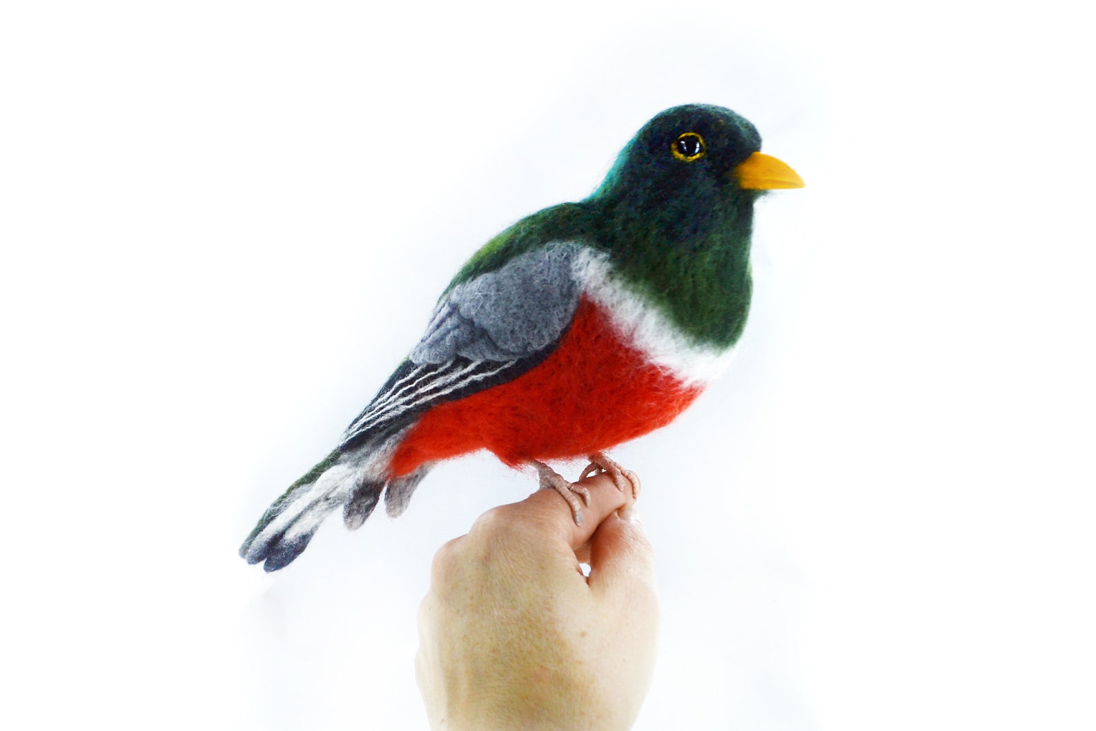 Elegant Trogon Realistic Felting Bird. Lifelike Felting | Etsy