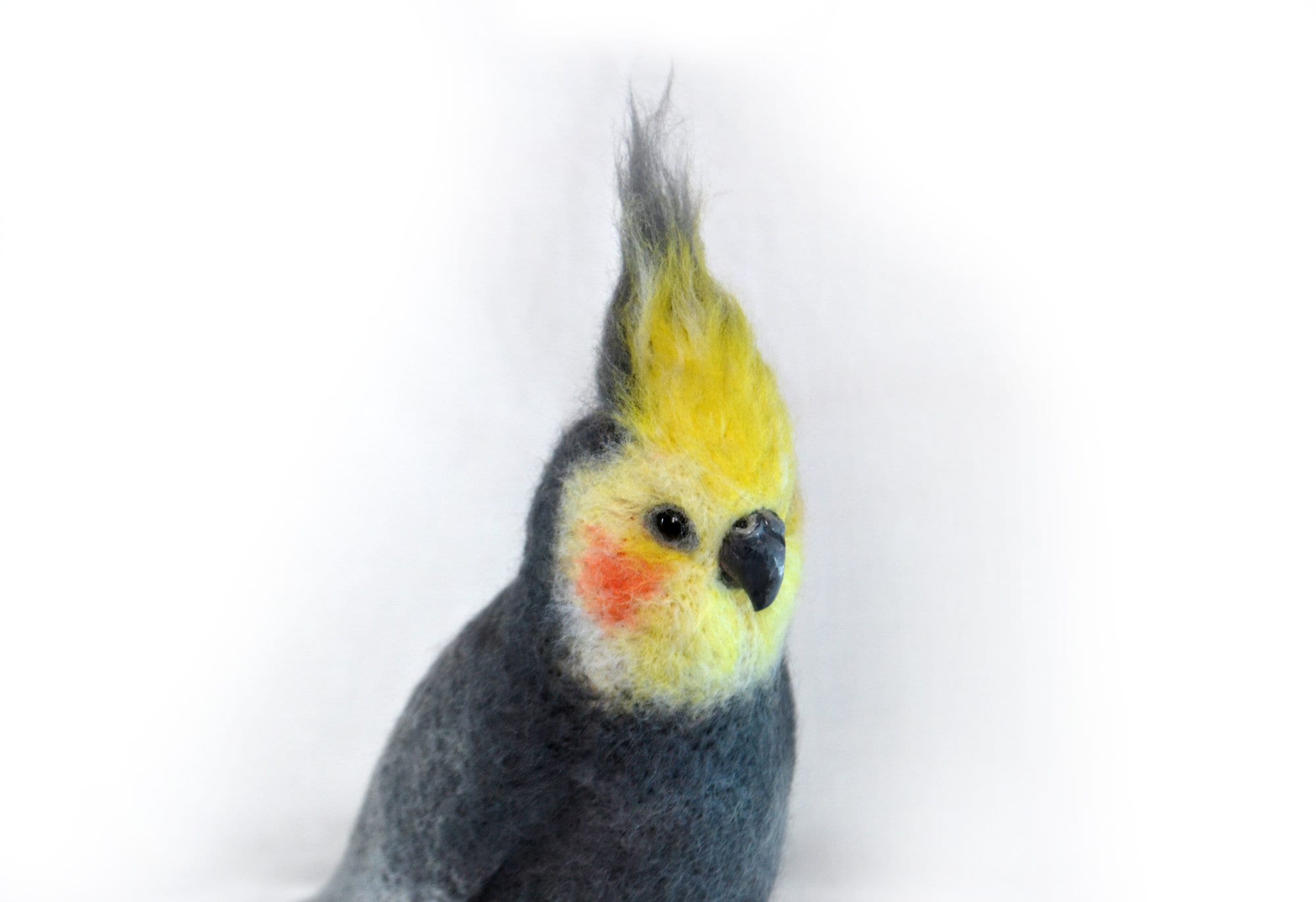 The Felt Bird - Cockatiel. Handmade Felted Bird. the Most Widely Kept ...