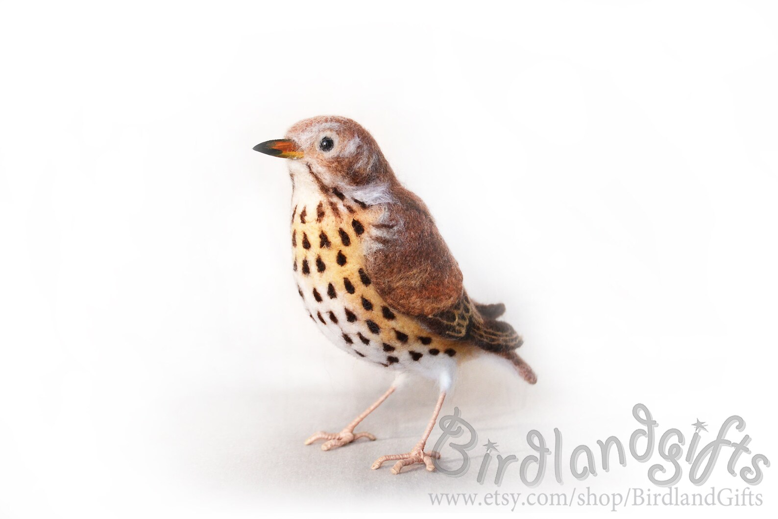 The Song Thrush Realistic Felting Bird. Lifelike Felting Animal ...