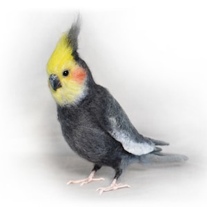 The Felt Bird - Cockatiel. Handmade Felted Bird. the Most Widely Kept ...