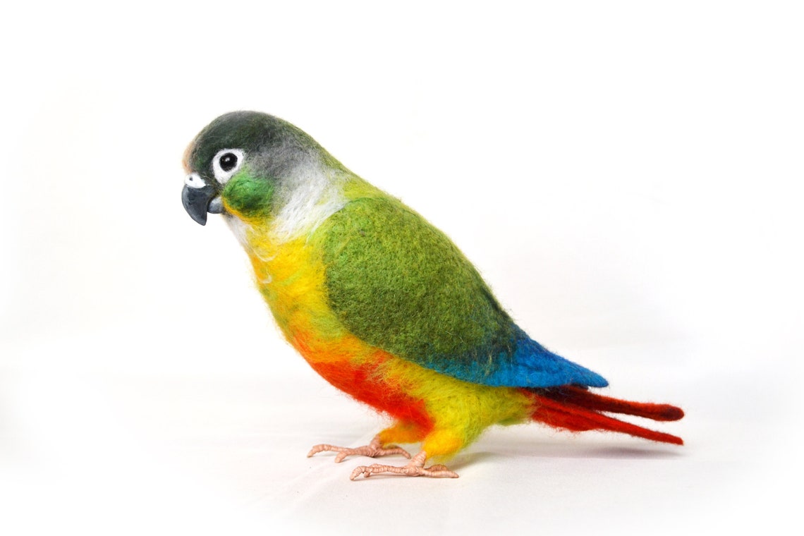 Yellow Sided Green Cheek Red Tail Conure Realistic felt toy | Etsy