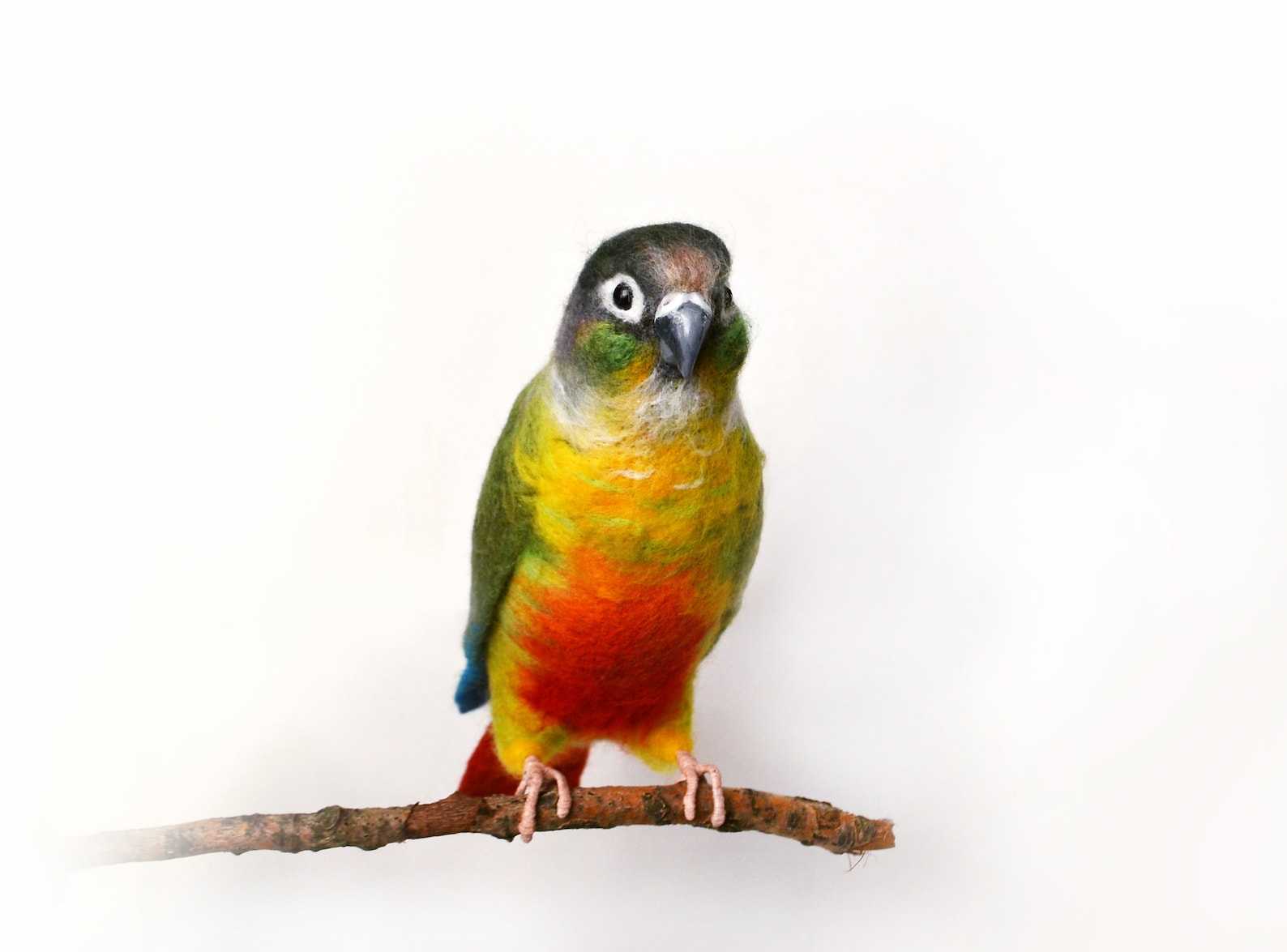 Yellow Sided Green Cheek Red Tail Conure - Realistic Felt Toy. Lifelike ...
