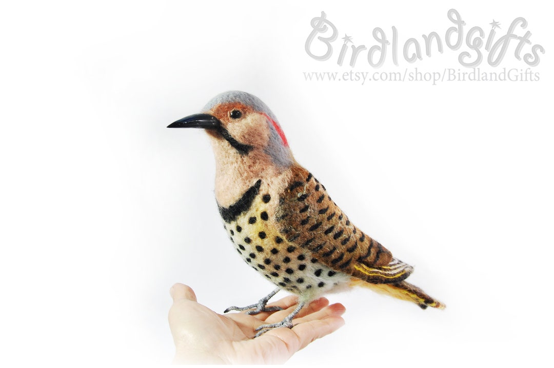Northern Flicker - Handmade Felted Bird - Ornithologist Gift, Faux ...
