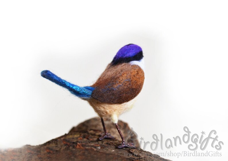 The Felted Bird-purple-crowned Fairywren-lifelike Felting Animal ...