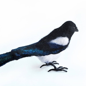 Eurasian Magpie - 1/2 Scale Felted Naturalistic Doll - Etsy