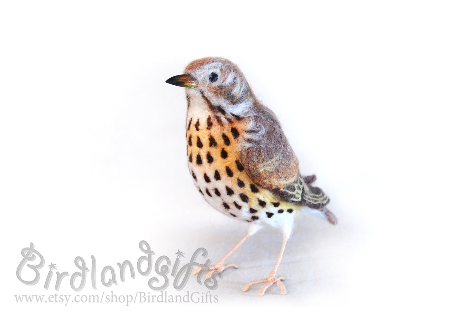 The Song Thrush Realistic Felting Bird. Lifelike Felting Animal ...