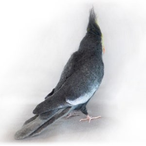 The Felt Bird - Cockatiel. Handmade Felted Bird. the Most Widely Kept ...