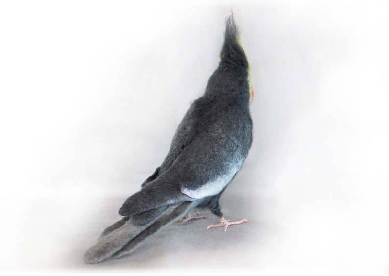The Felt Bird - Cockatiel. Handmade Felted Bird. the Most Widely Kept ...