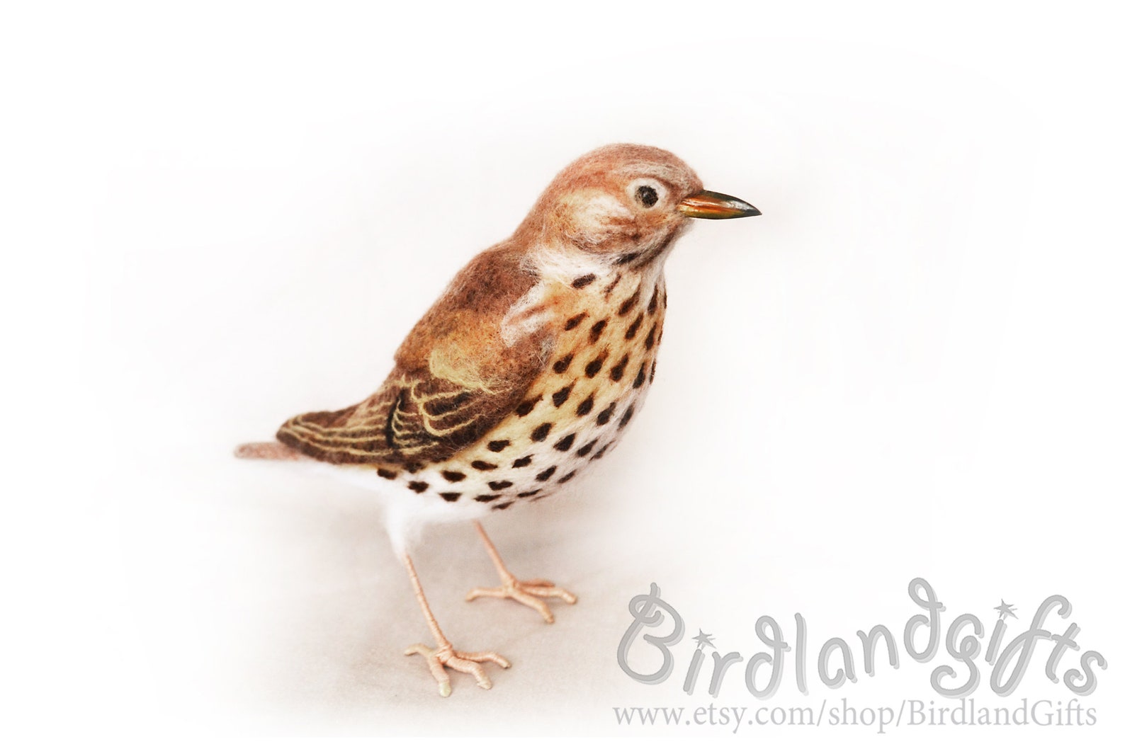 The Song Thrush Realistic Felting Bird. Lifelike Felting Animal ...