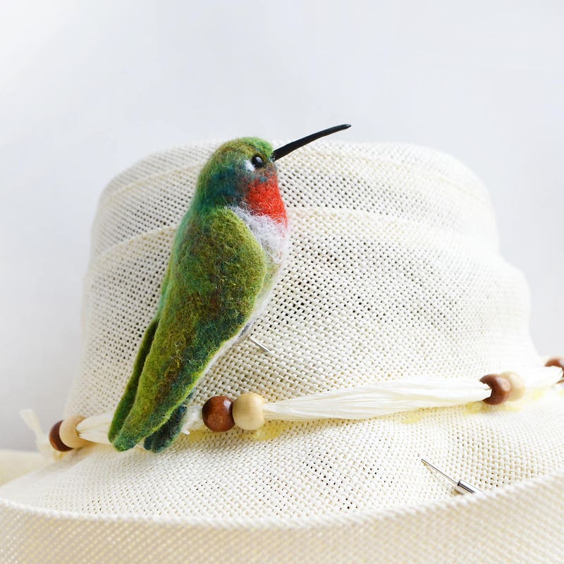 Hummingbird Costume - Etsy